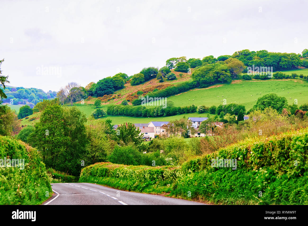 Road with green hills at Snowdonia National Park in North Wales in ...