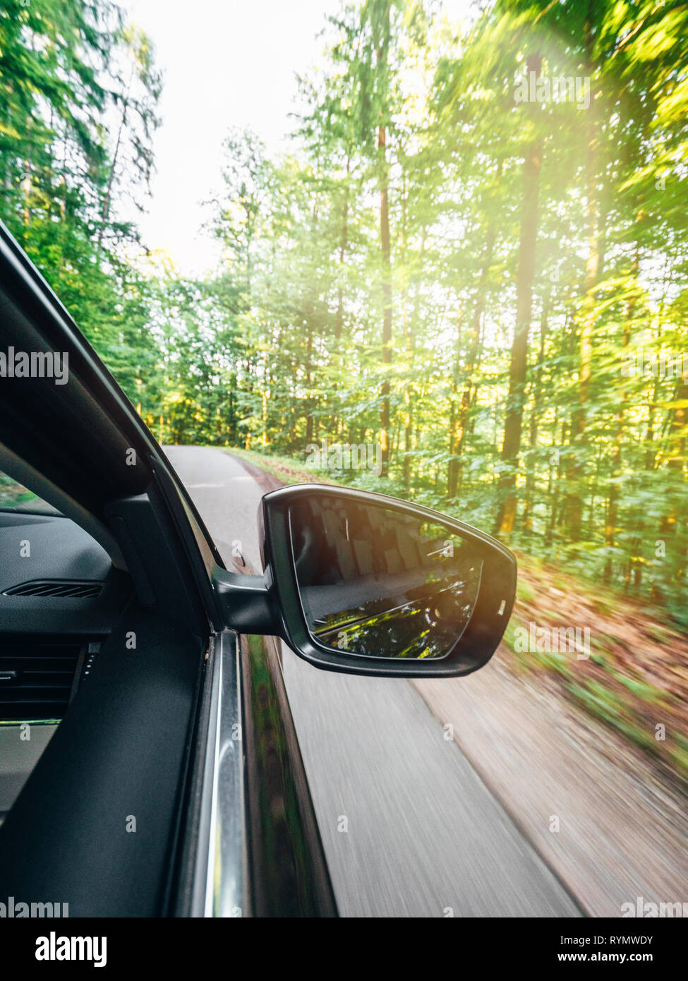 Vertical image of new modern car driving fast into forest with tall ...