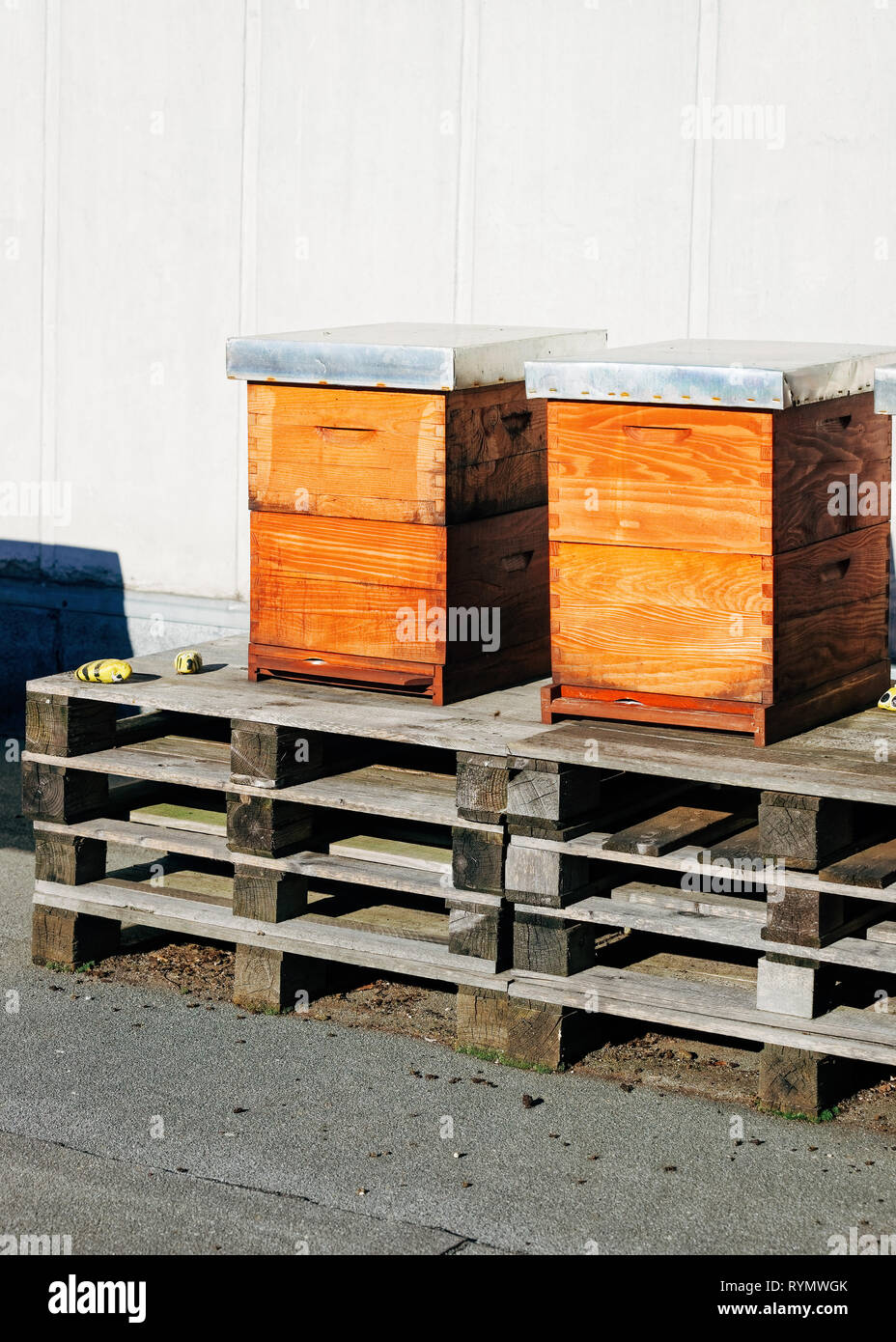 Bees at the wooden beehives boxes in Ljubljana in Slovenia Stock Photo ...
