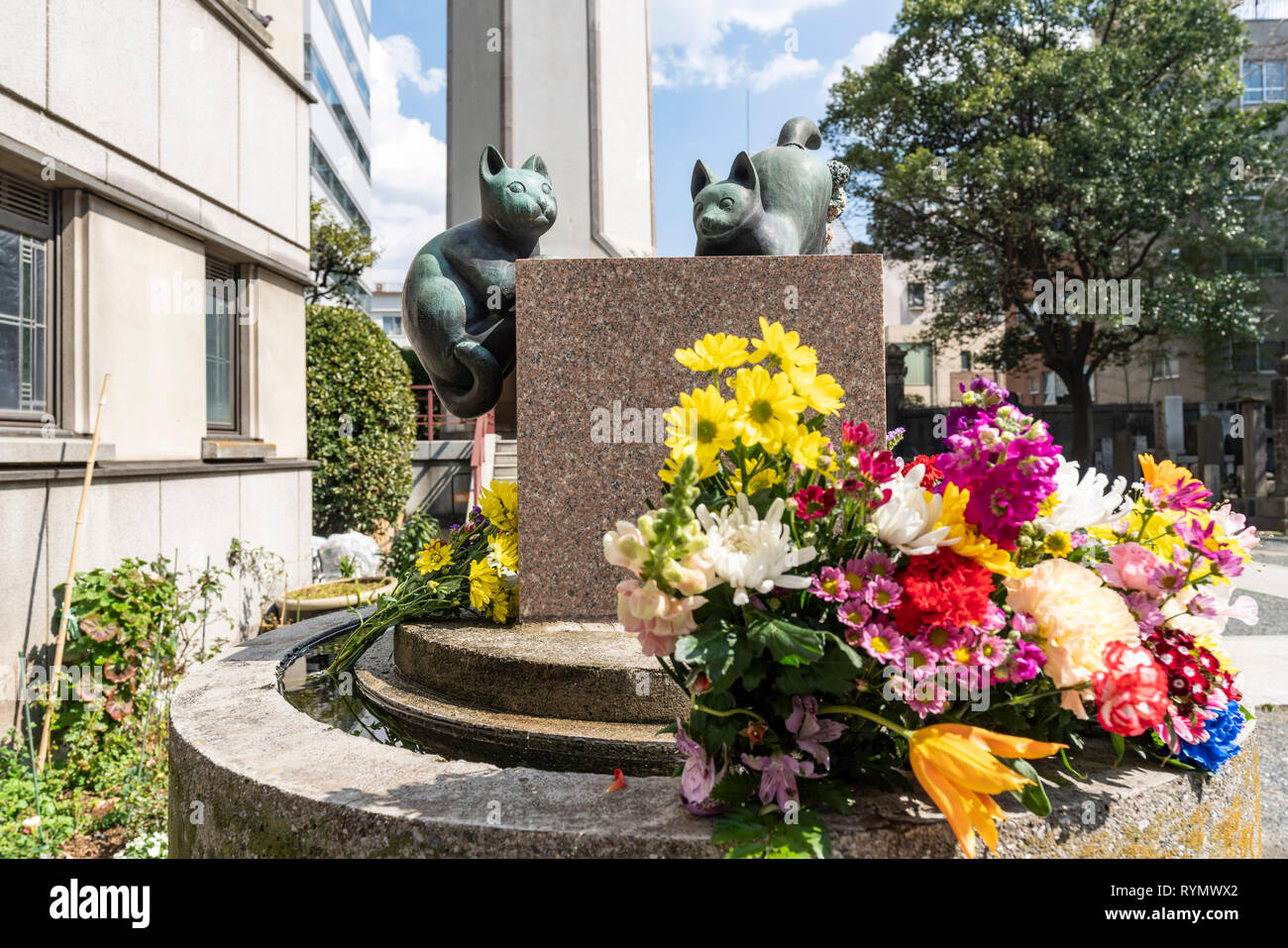 Buddha and cats hi-res stock photography and images - Alamy