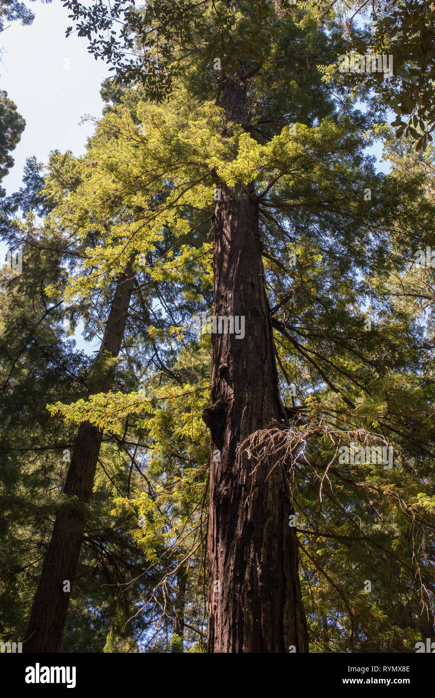 Old-fashioned fun can be had by trying to drive modern cars through the ...