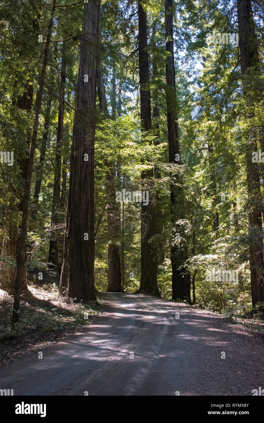 Old-fashioned fun can be had by trying to drive modern cars through the ...