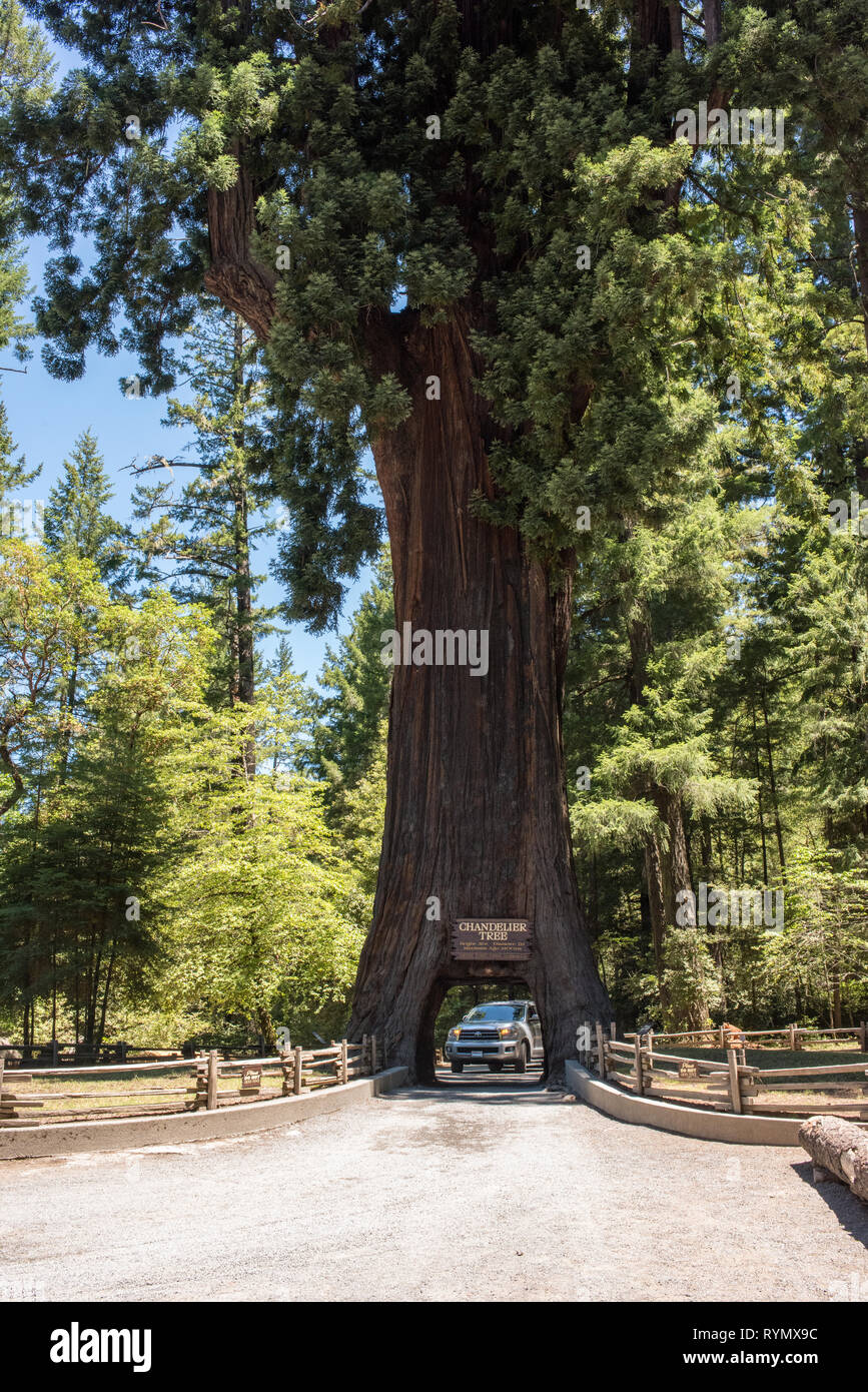 101 Park High Resolution Stock Photography and Images - Alamy