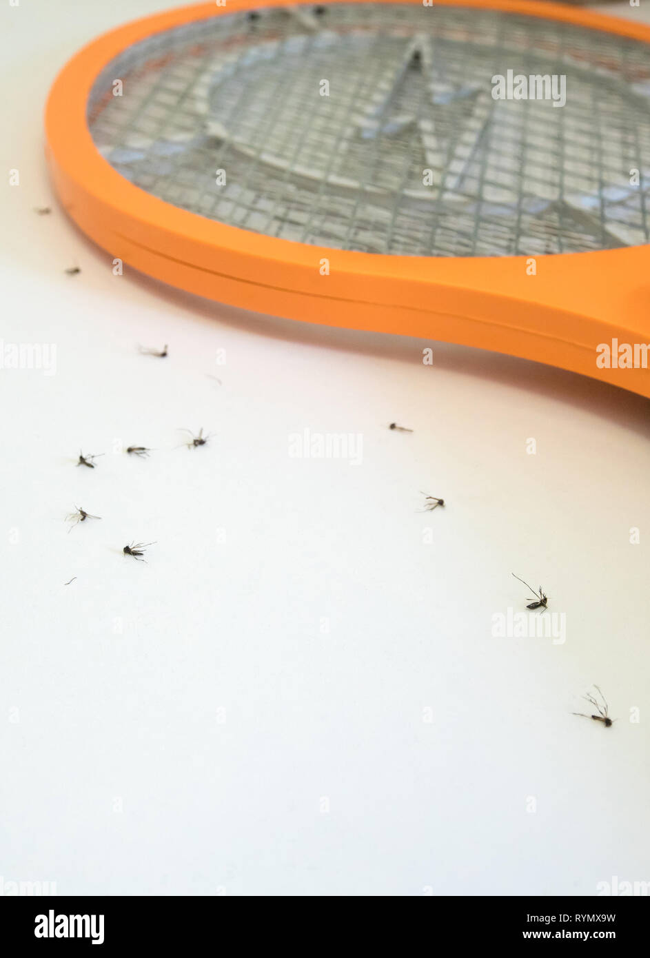 Many mosquitoes die by Electric mosquito swatter Stock Photo - Alamy