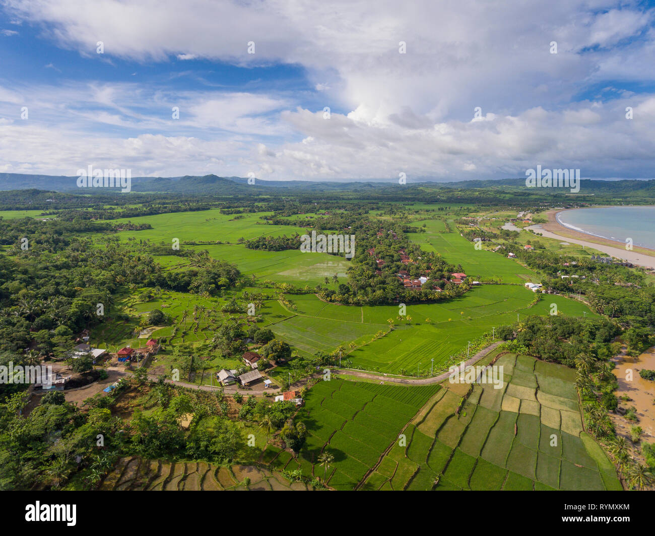 Wide paddy field hi-res stock photography and images - Alamy
