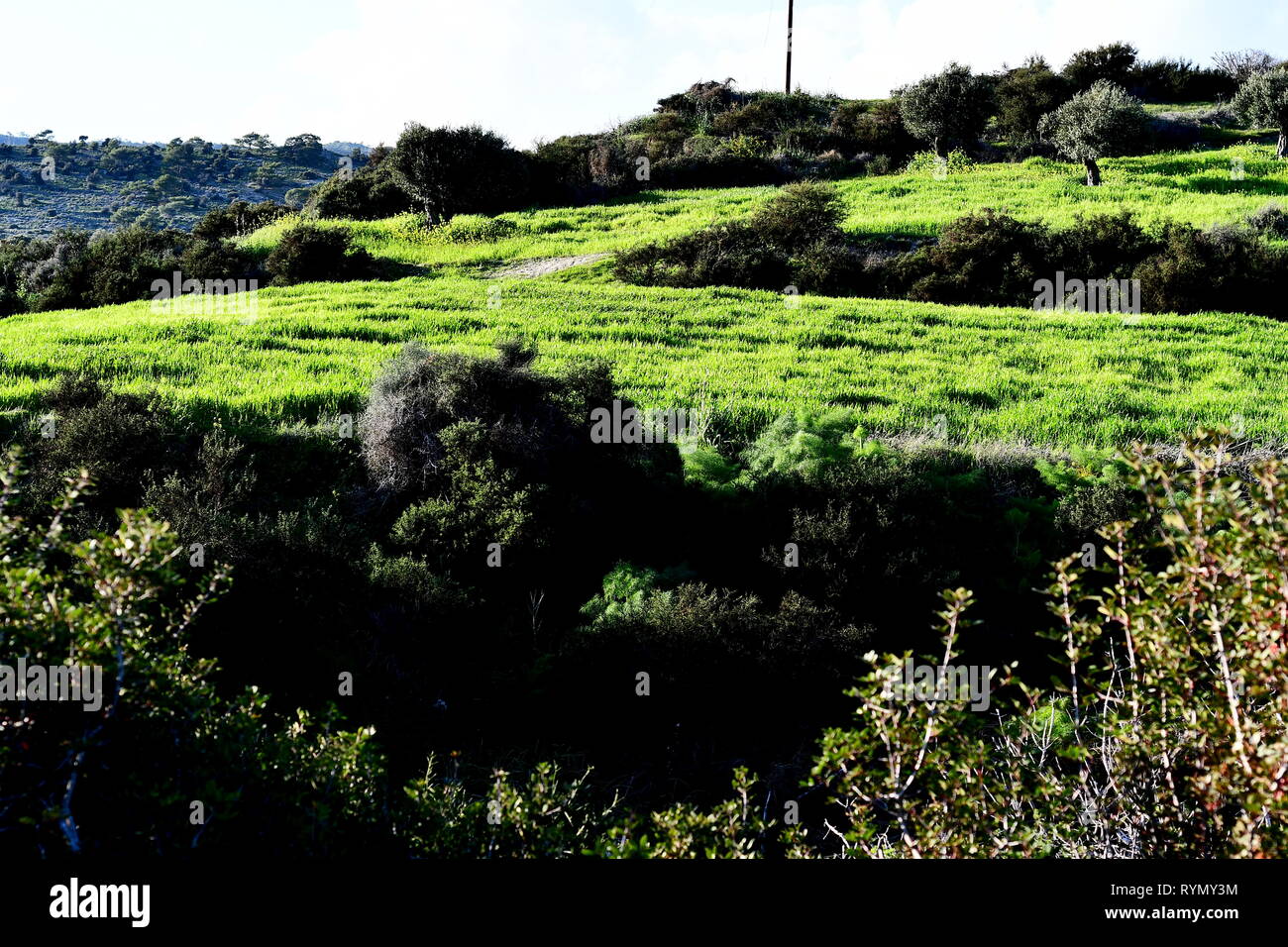 Wide angle wild life hi-res stock photography and images - Alamy