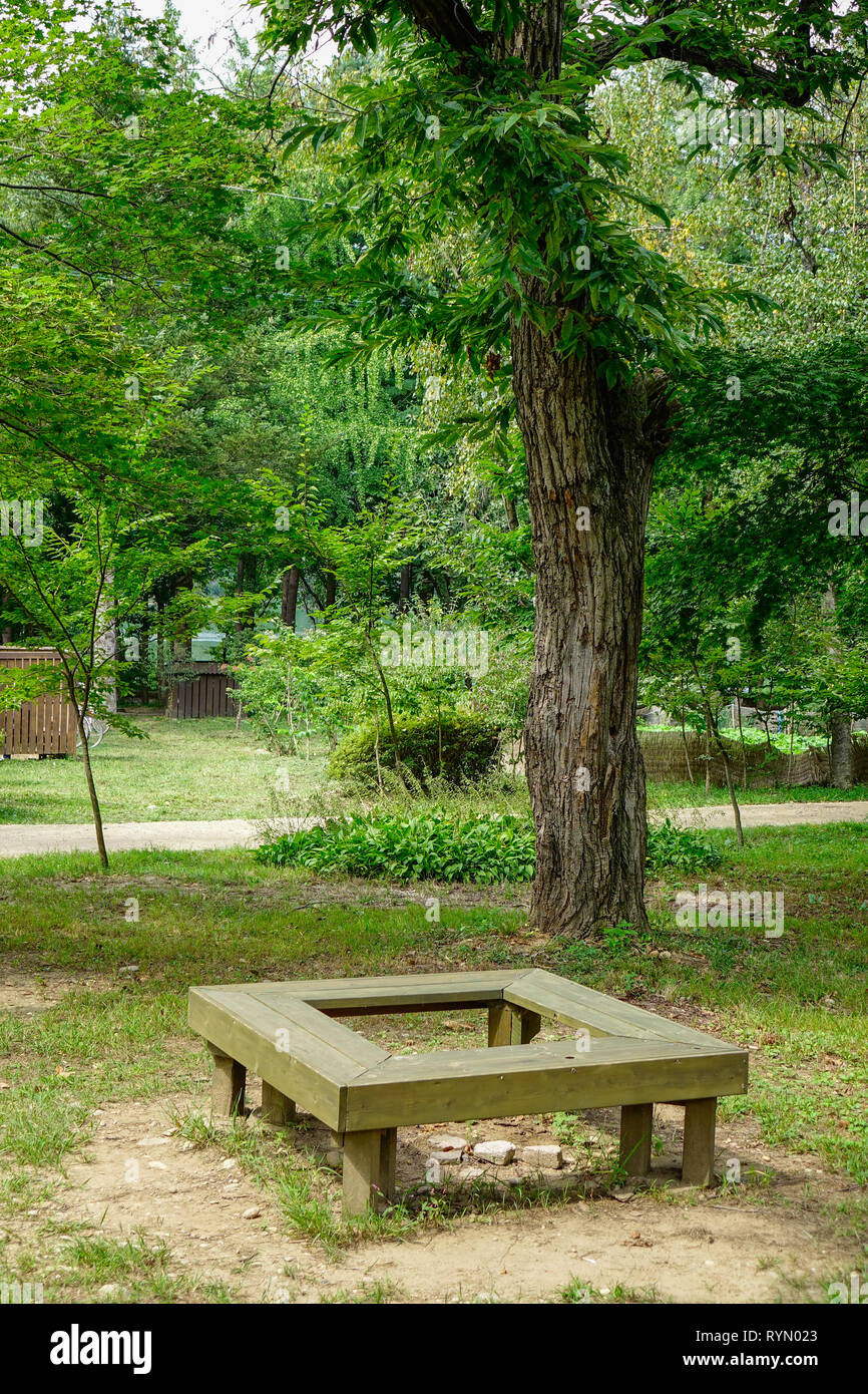 Green trees in the park at Namiseom (Nami Island), South of Korea Stock ...