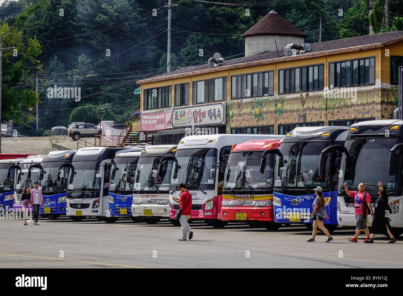 Nami, South Korea - Feb 6, 2015. Buses bring tourists to the Nami ...