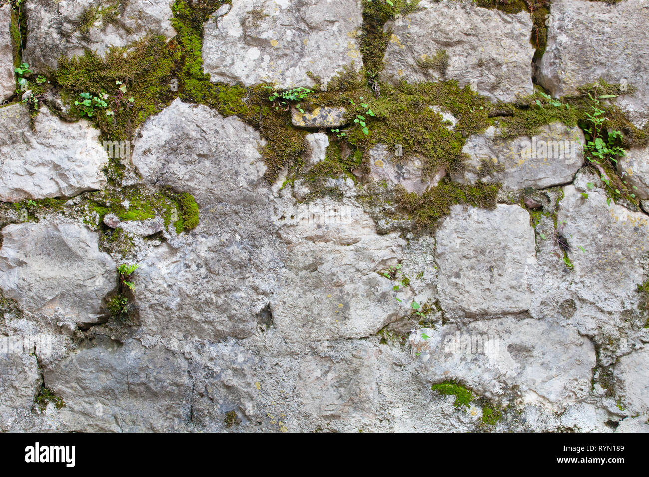 Medieval brick wall texture green hi-res stock photography and images ...