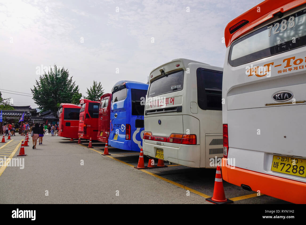 Nami, South Korea - Feb 6, 2015. Buses bring tourists to the Nami ...