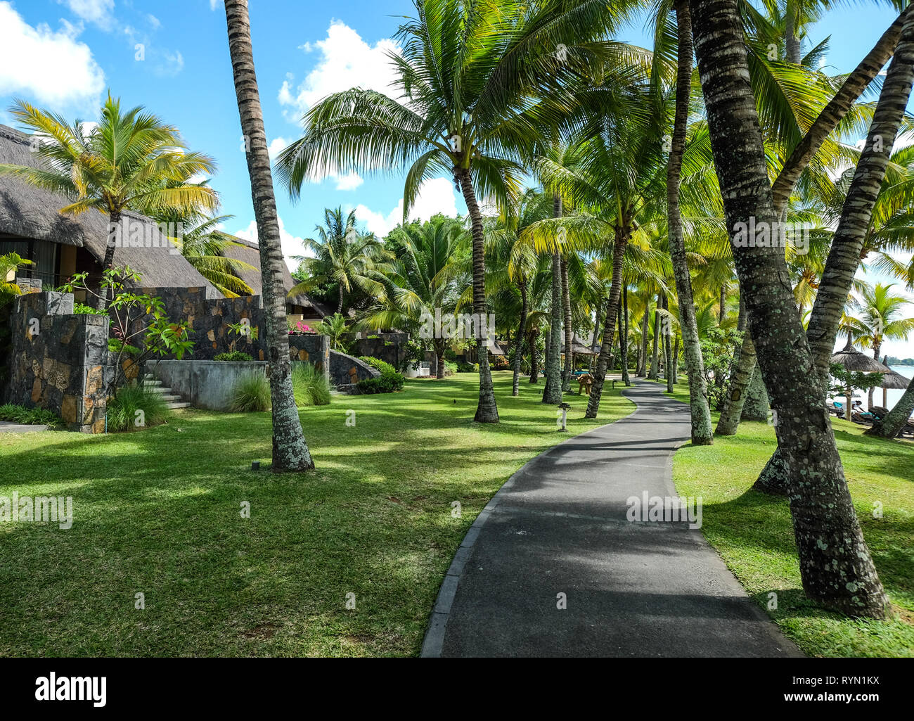 Wooden resort with coconut garden on Mauritius Island at sunny day ...