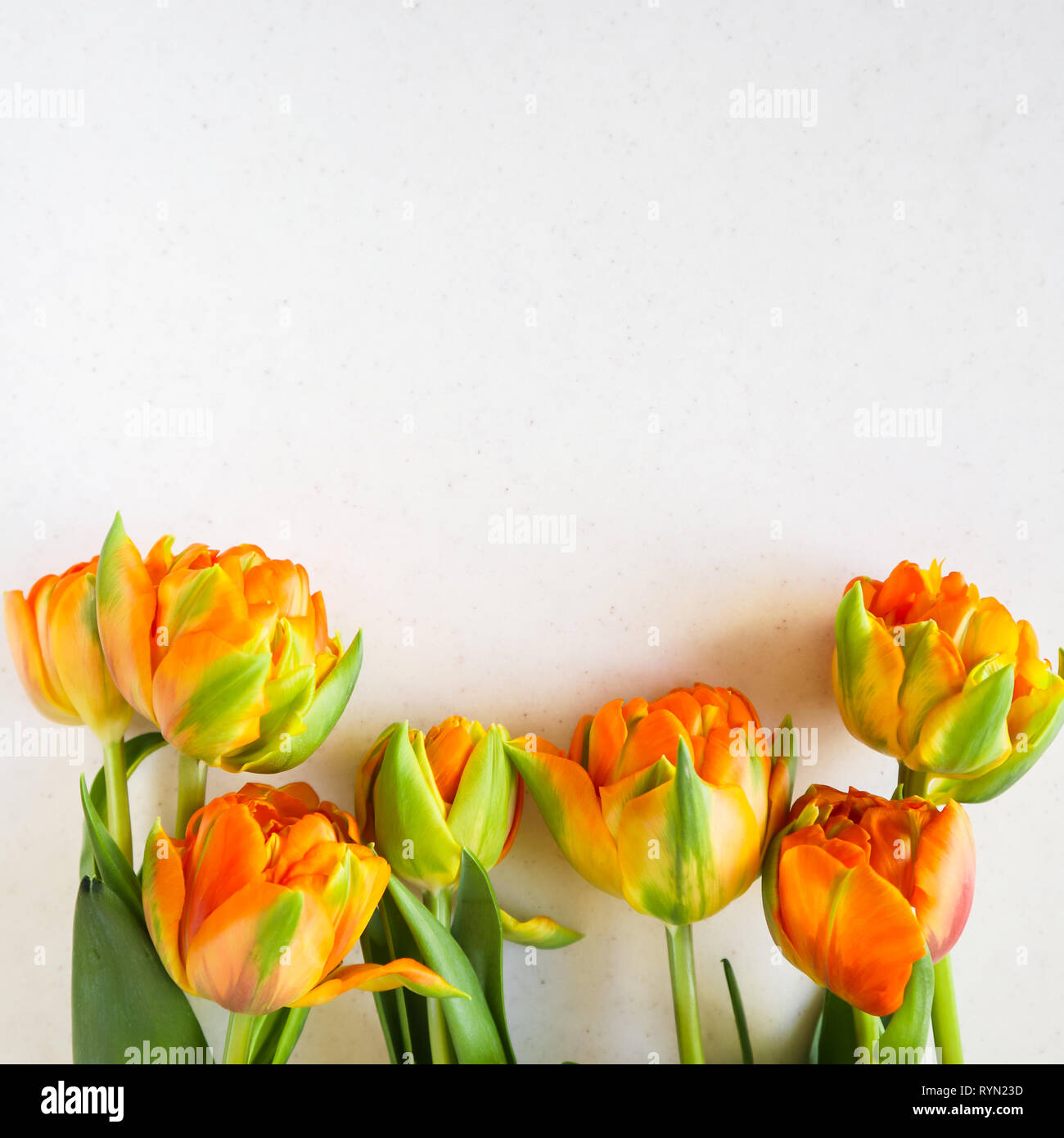 Spring event backdrop wedding hi-res stock photography and images - Alamy