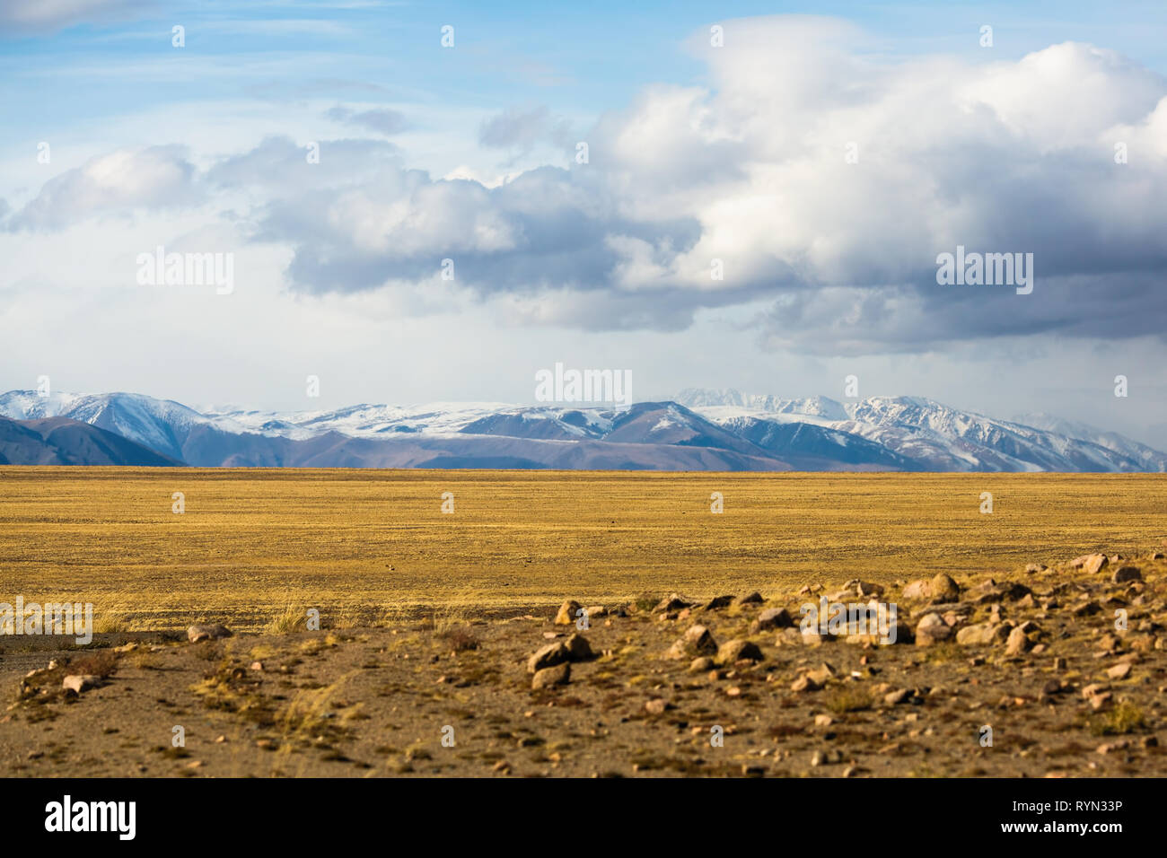Landscape of the Mongolian steppe in the foothills Stock Photo - Alamy