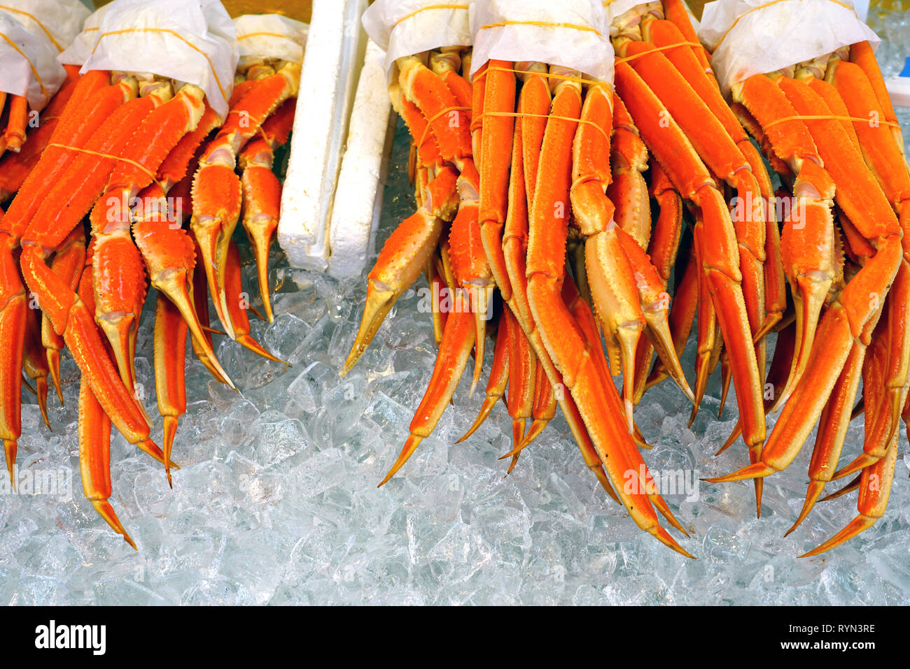 View of matsuba snow crab, a gourmet delight from the Sea of Japan for ...