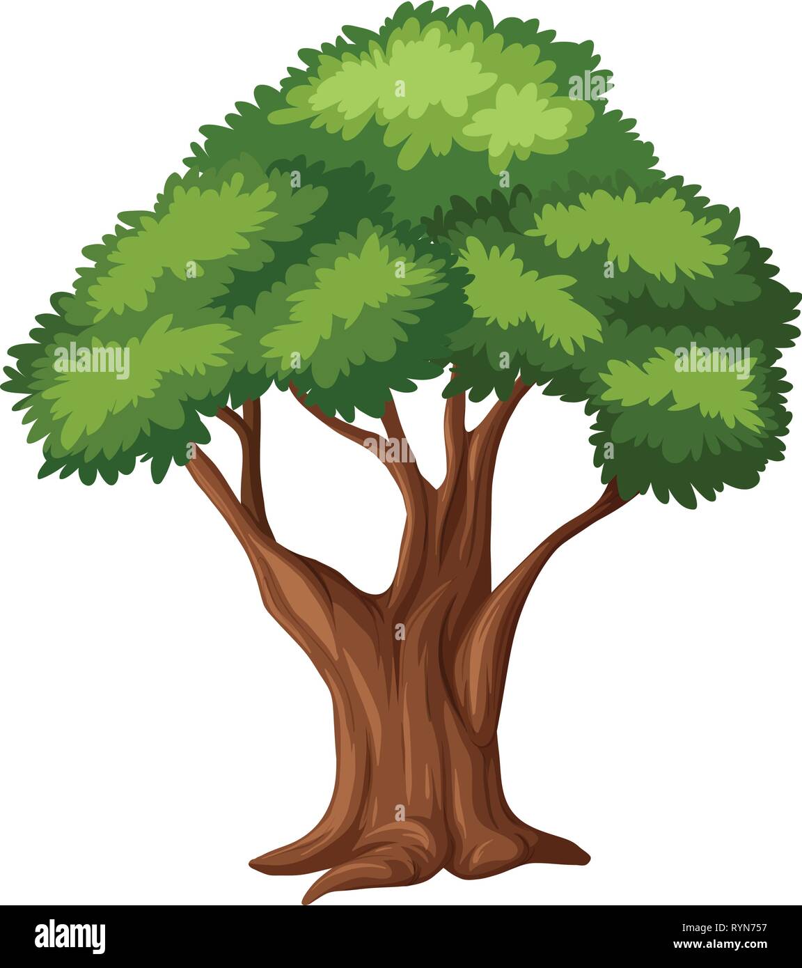 Isolated tree on white background illustration Stock Vector Image & Art ...