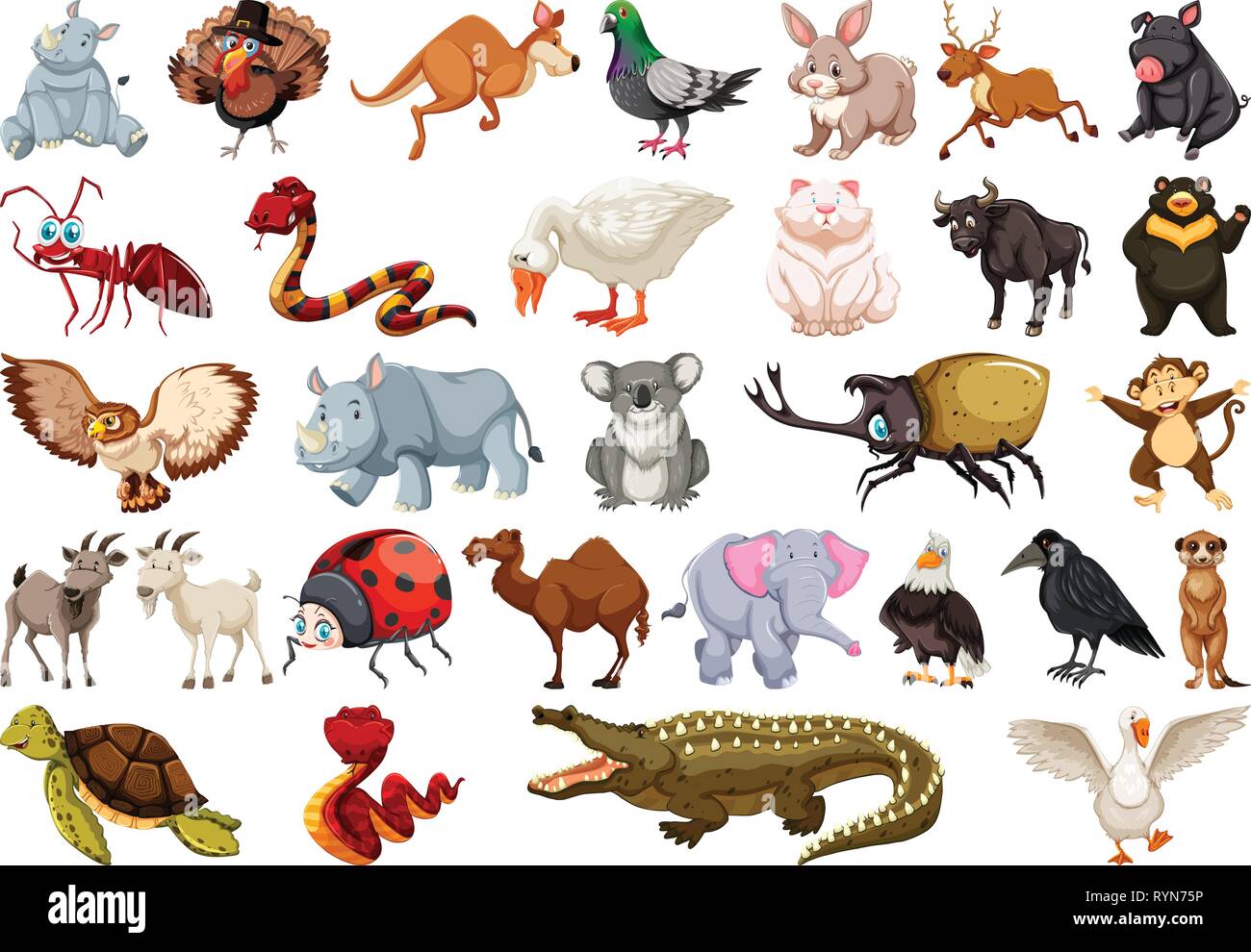 Set of animal character illustration Stock Vector Image & Art - Alamy