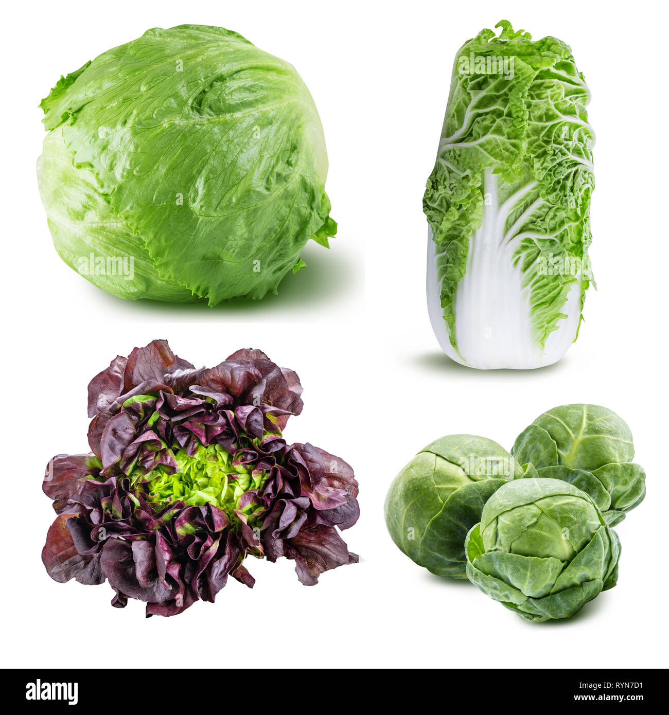 Collection of fresh cabbages isolated on white background Stock Photo ...