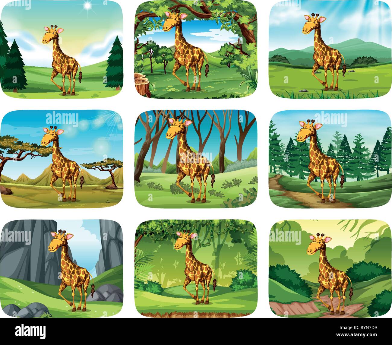 Set of giraffe scenes illustration Stock Vector Image & Art - Alamy