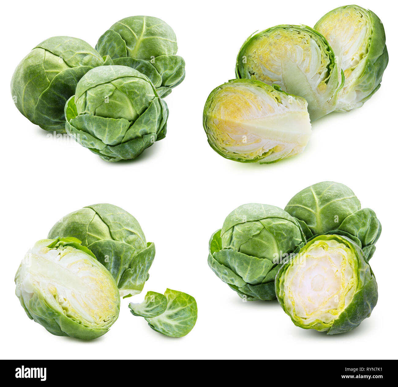 Collection of fresh cabbages isolated on white background Stock Photo ...