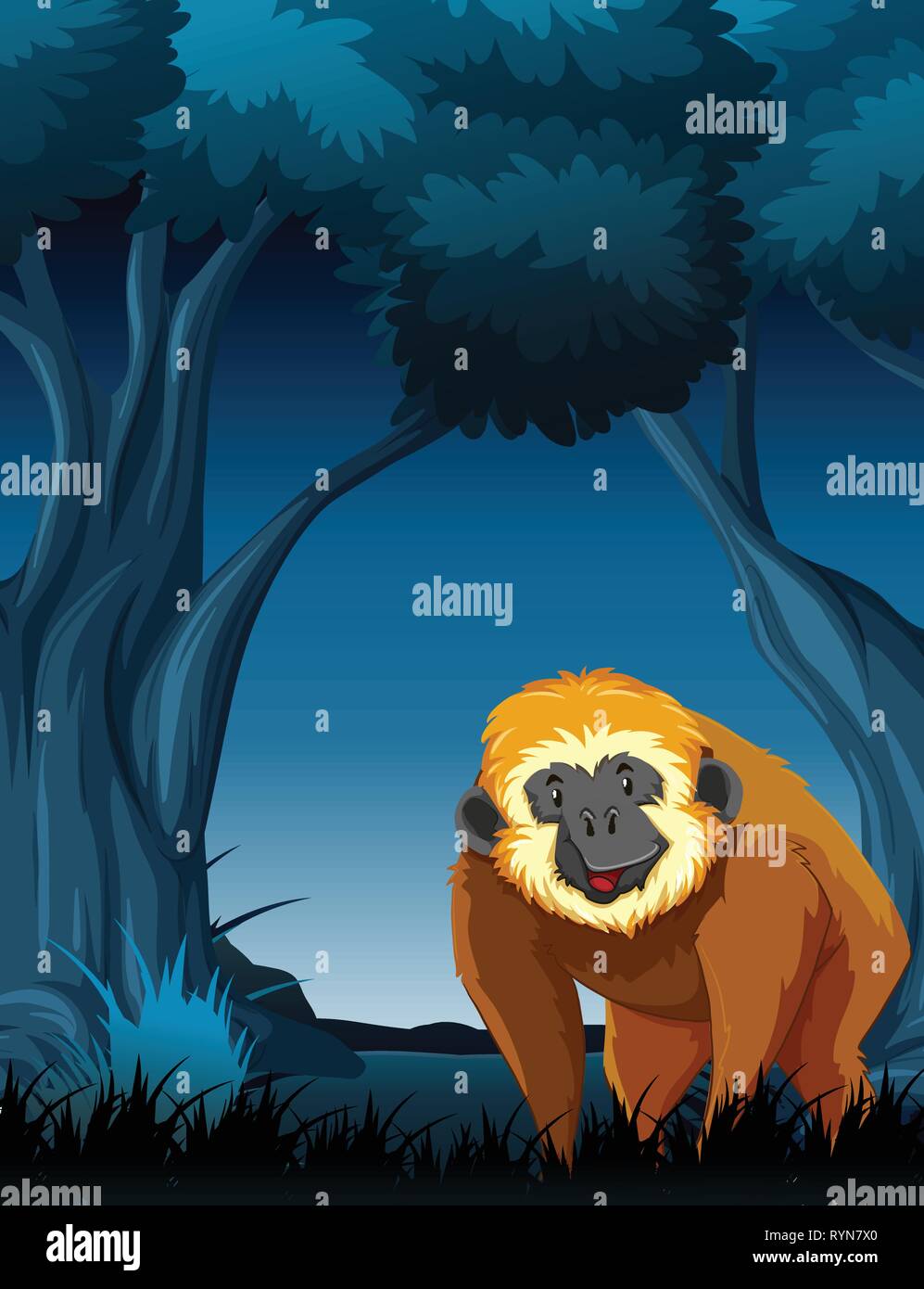 Monkey on night forest illustration Stock Vector Image & Art - Alamy