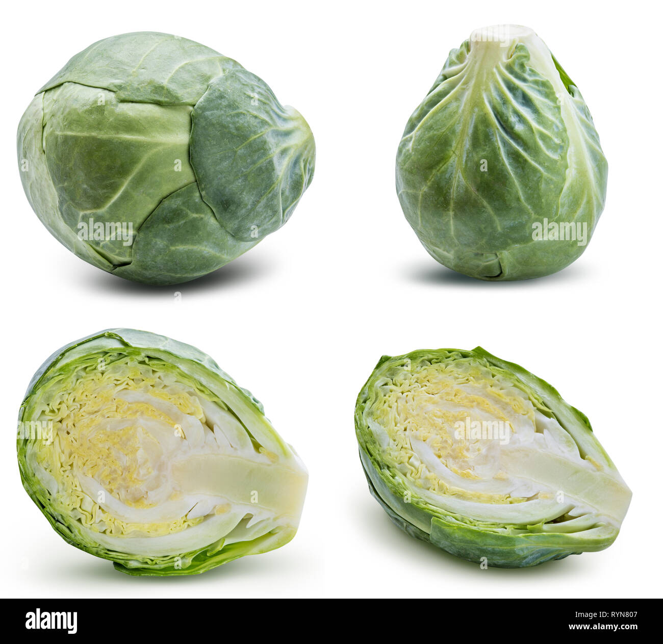 Collection of fresh cabbages isolated on white background Stock Photo ...