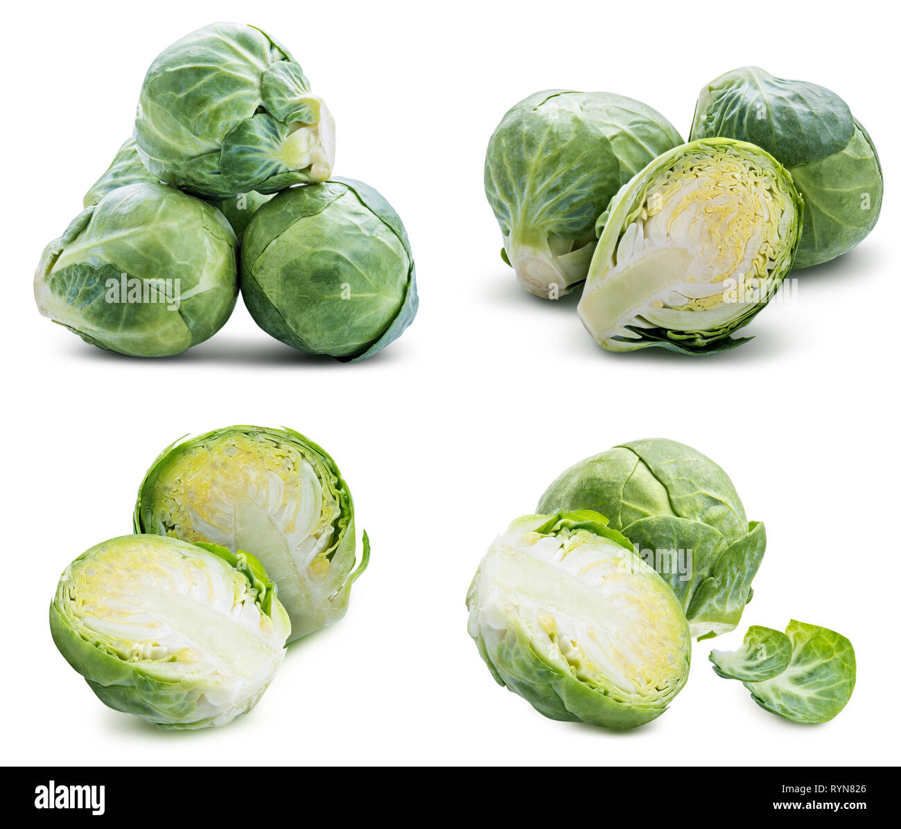 Collection of fresh cabbages isolated on white background Stock Photo ...