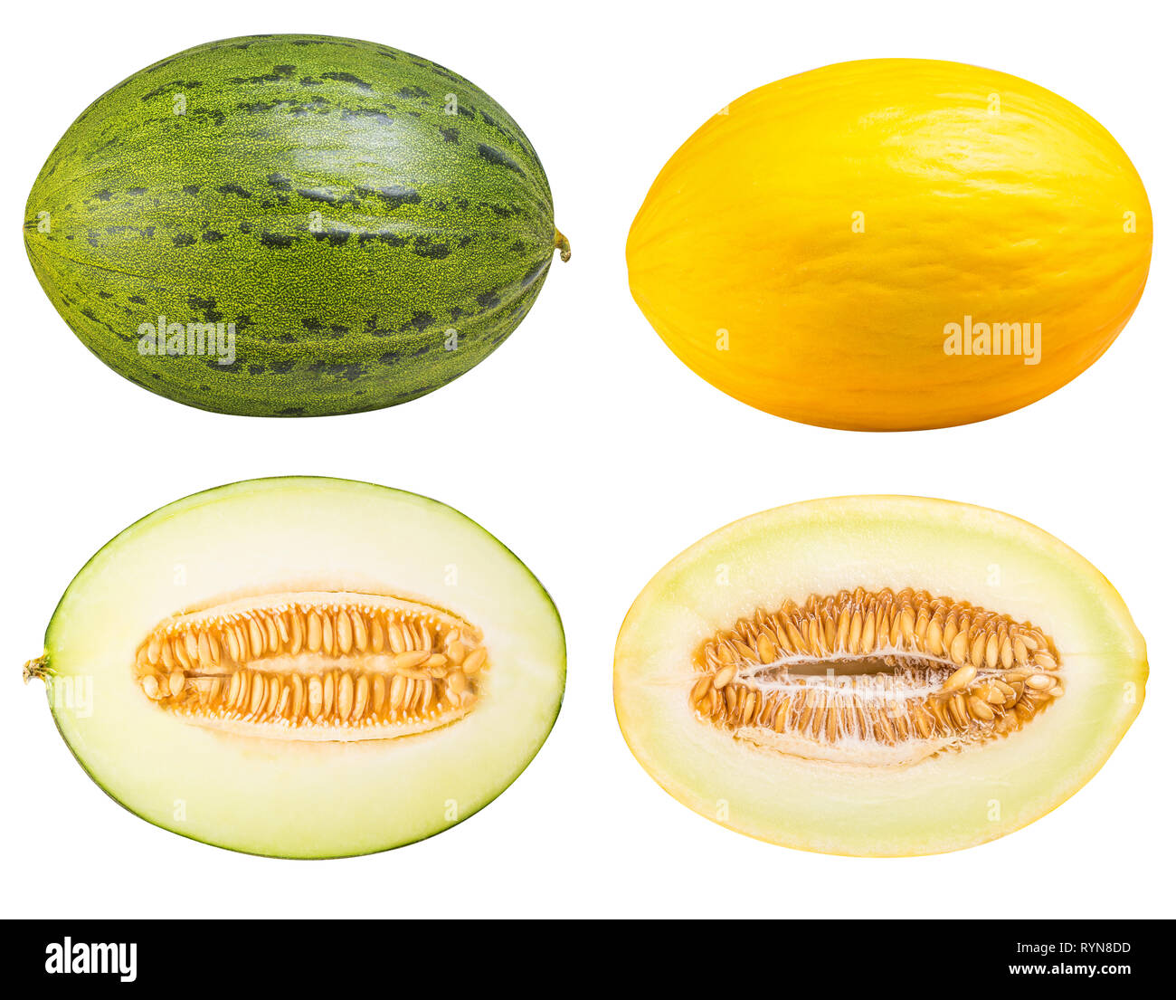Green melon isolated on white background Stock Photo - Alamy