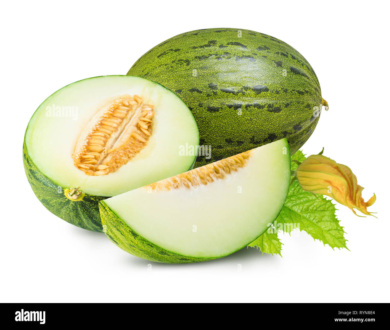 Green melon isolated on white background Stock Photo - Alamy