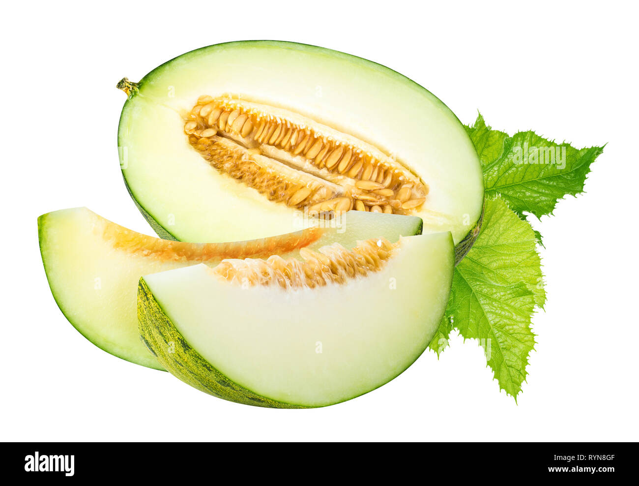 Green melon isolated on white background Stock Photo - Alamy