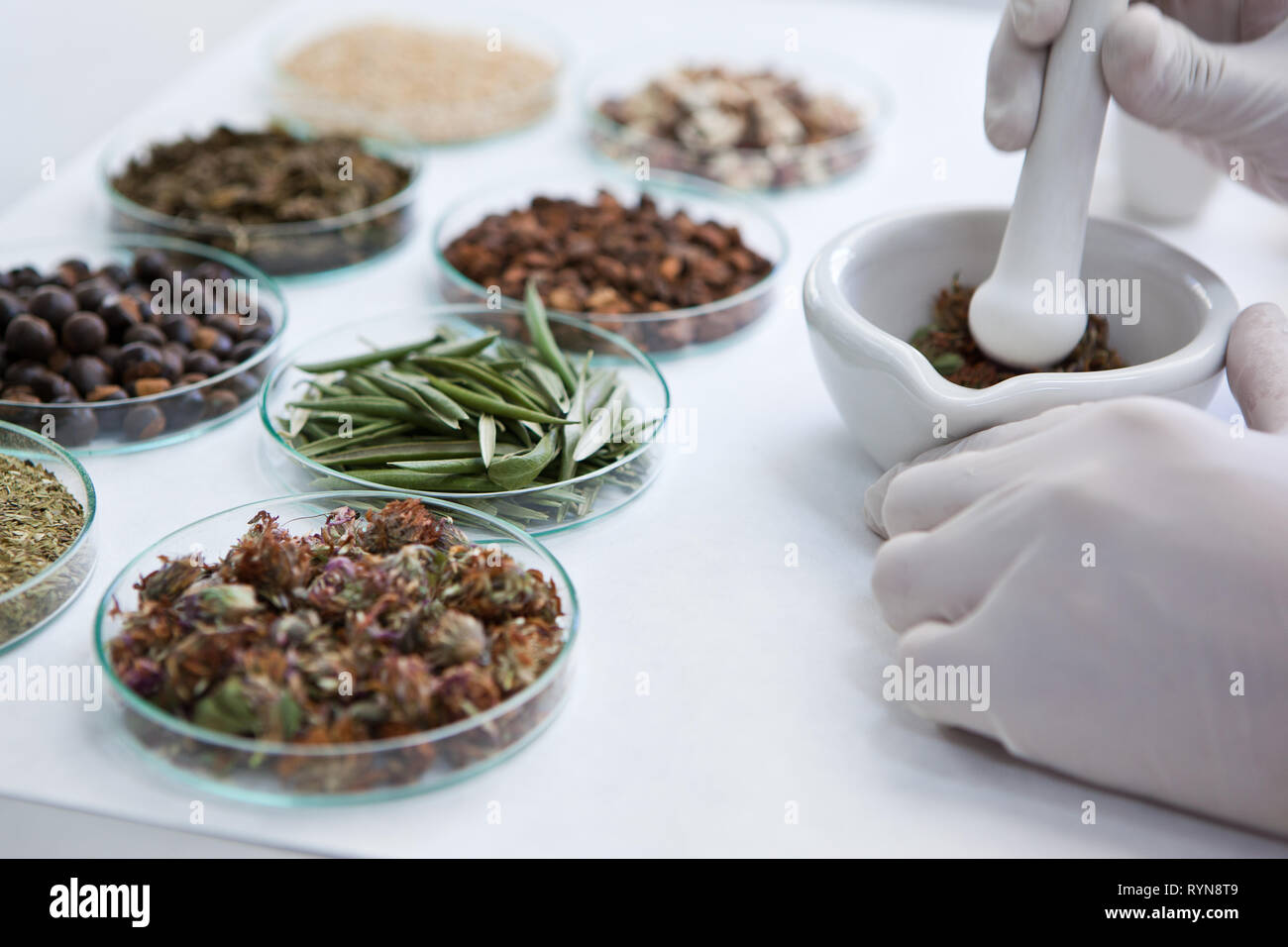 Olive oil extraction machine hi-res stock photography and images - Alamy