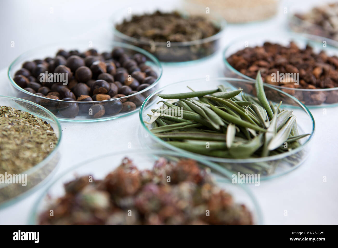 Olive oil extraction machine hi-res stock photography and images - Alamy