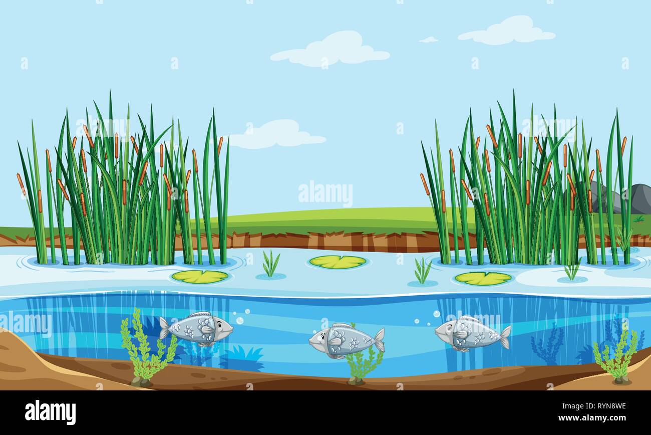 Fish Pond Clipart Black And White
