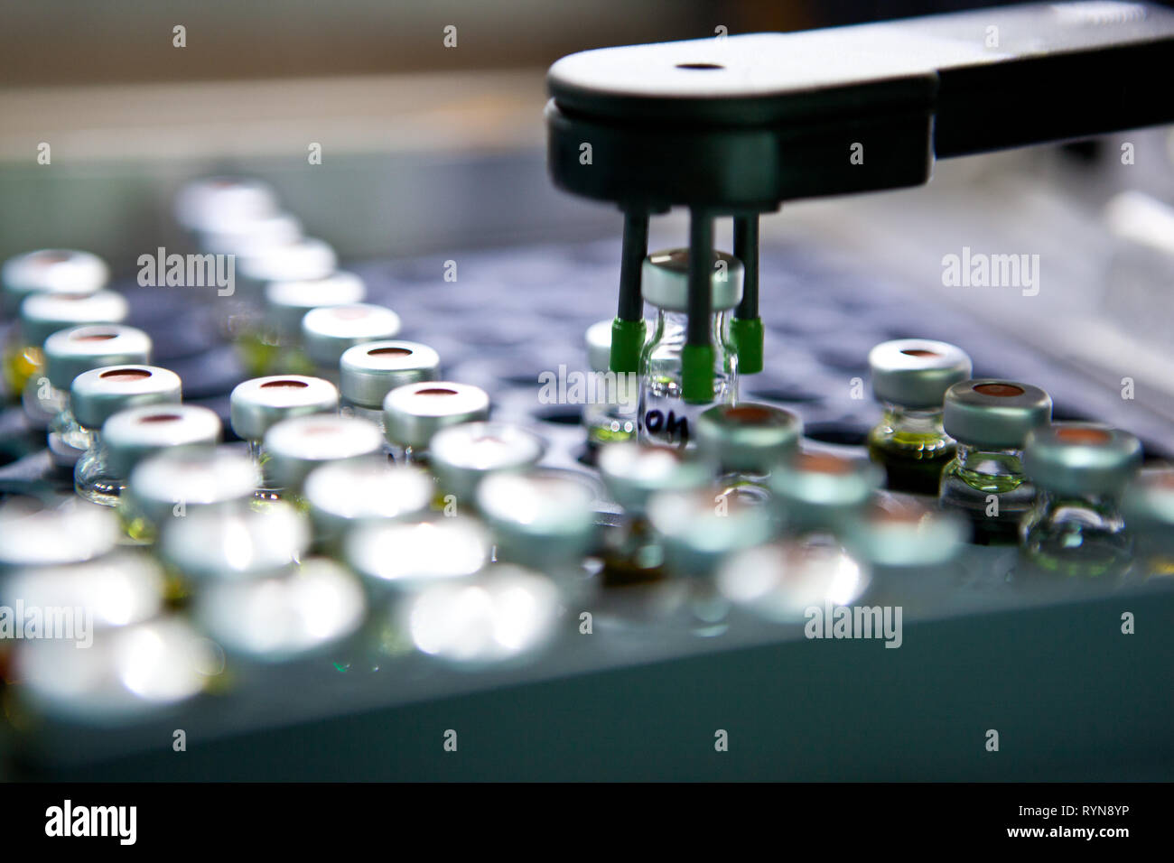 Traditional olive oil extraction processing hi-res stock photography ...
