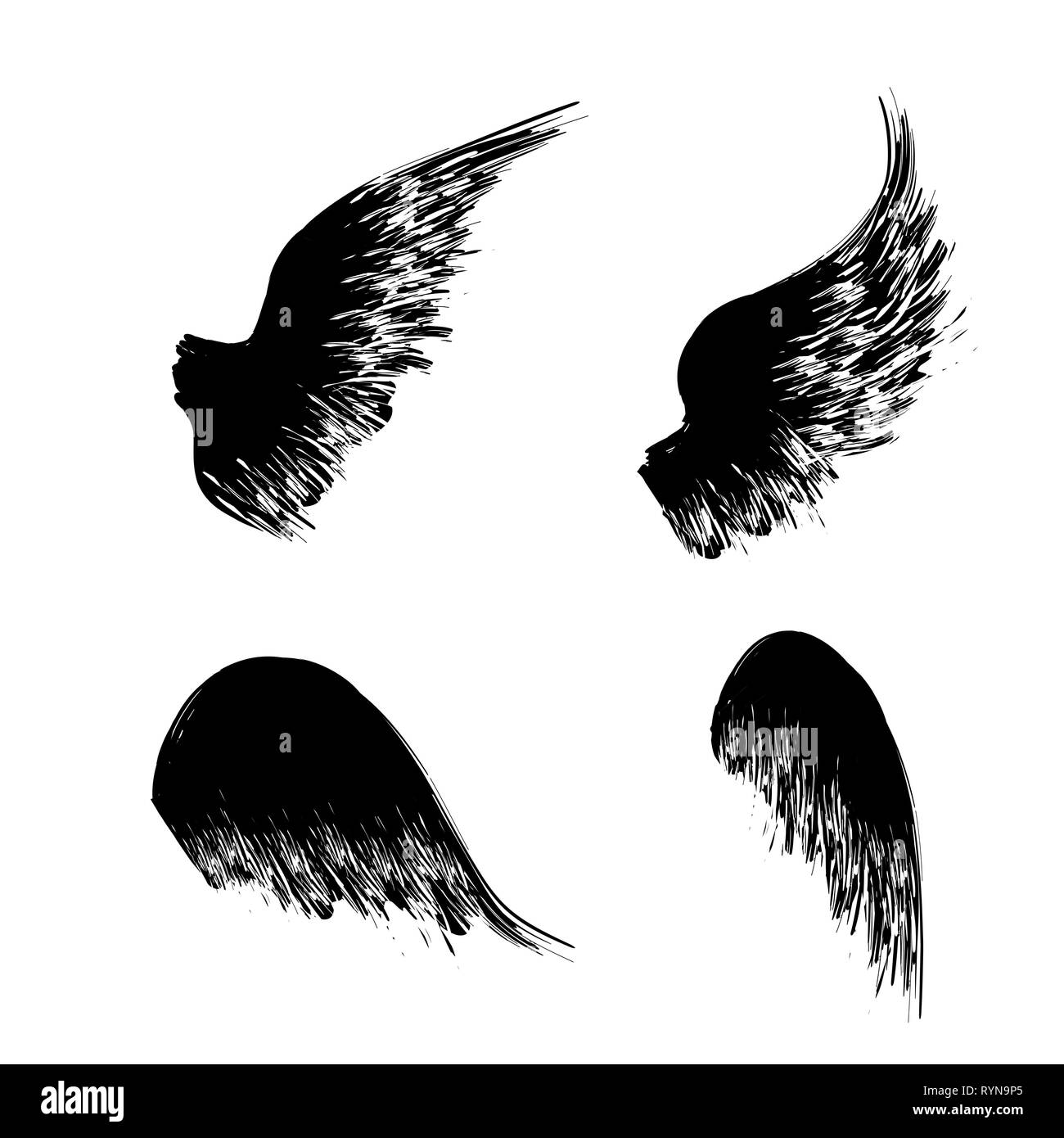 Bird Wing Silhouette