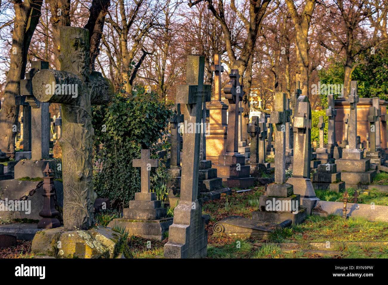 Graves and headstones in Brompton Cemetery in the Royal Borough of ...