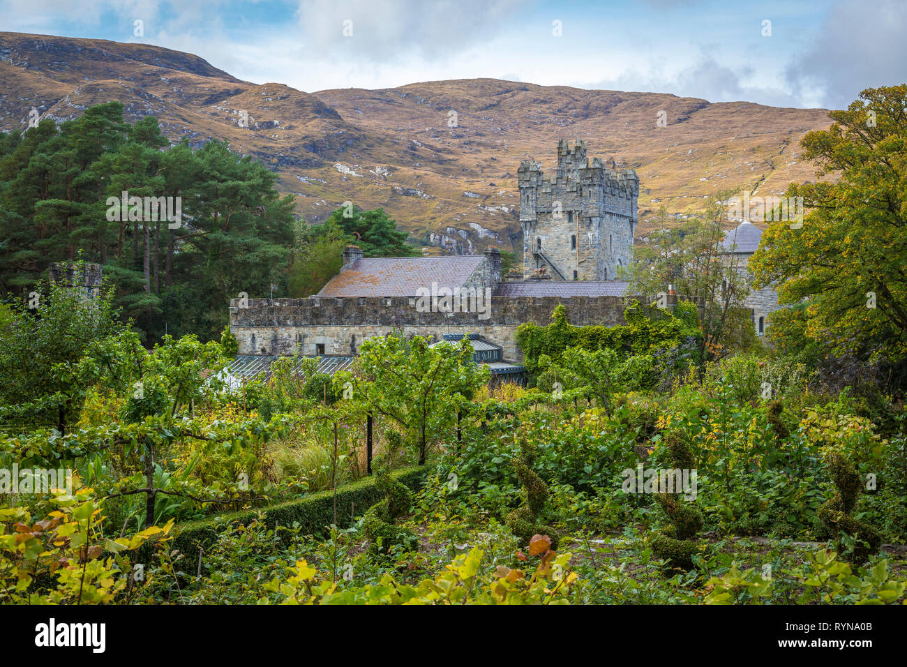 Beagh castle hi-res stock photography and images - Alamy