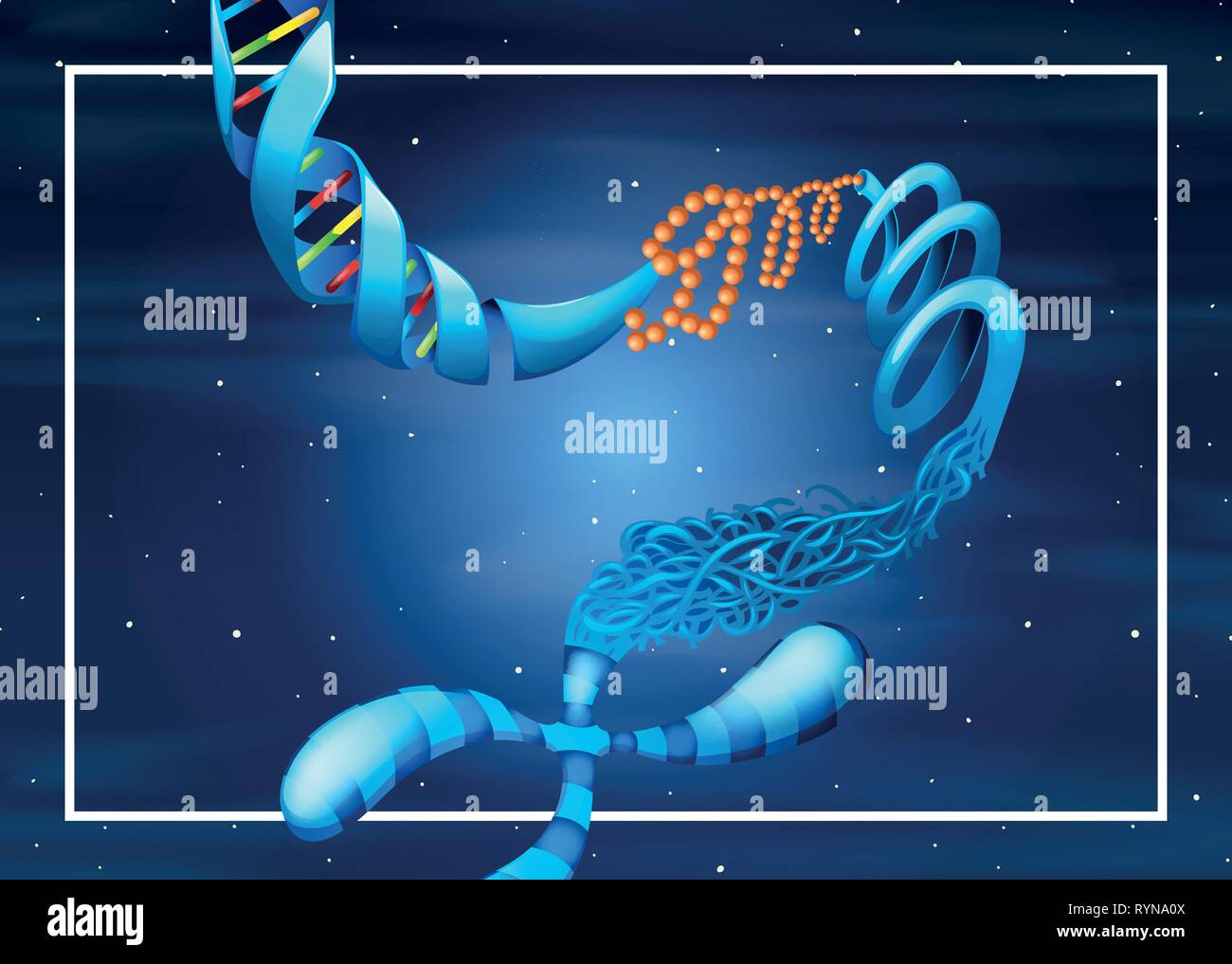 A DNA background template illustration Stock Vector Image & Art - Alamy