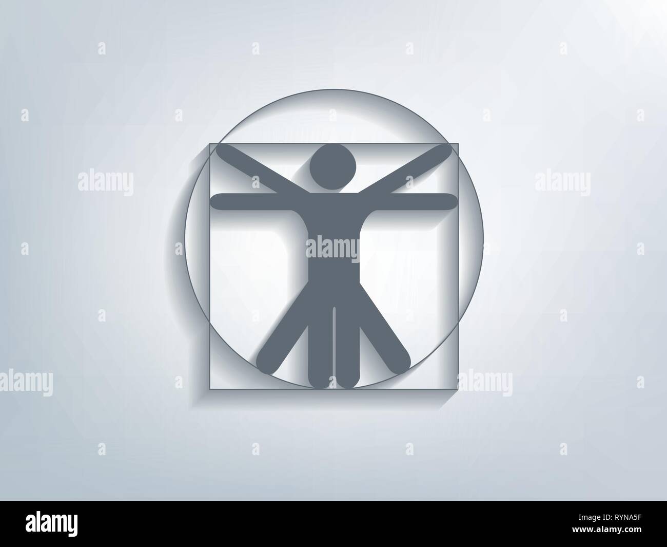 Anatomy vector vectors hi-res stock photography and images - Alamy