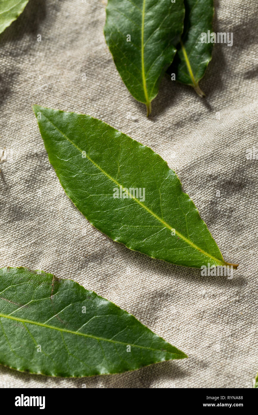 Raw Green Organic Bay Leaves Ready to Cook With Stock Photo - Alamy