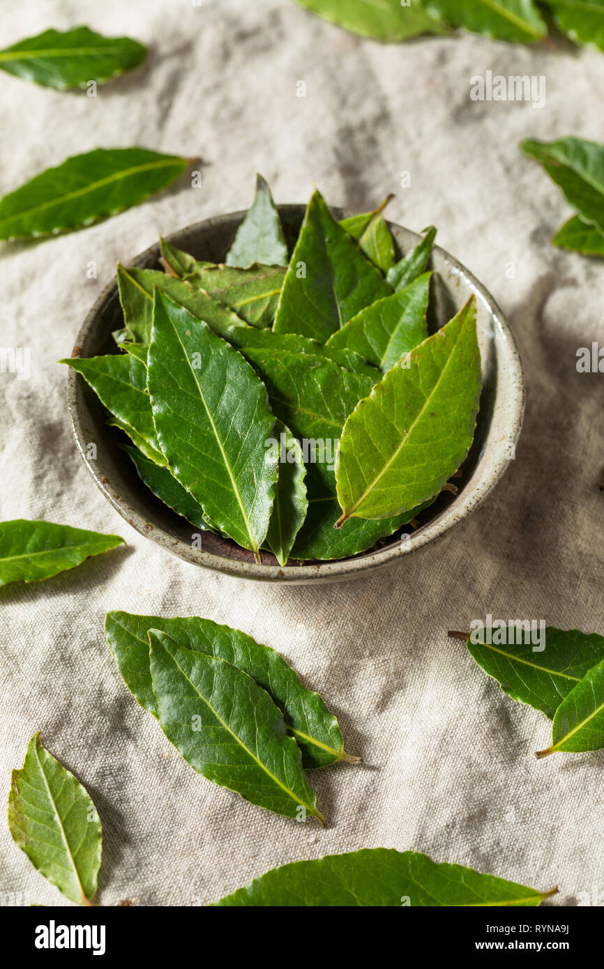 Raw Green Organic Bay Leaves Ready to Cook With Stock Photo - Alamy
