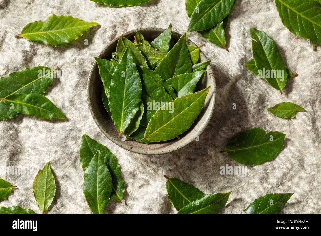 Food leaves hi-res stock photography and images - Alamy