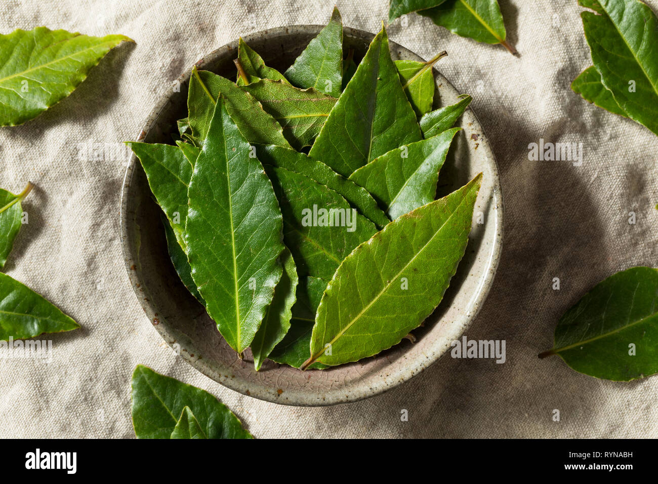 Raw Green Organic Bay Leaves Ready to Cook With Stock Photo - Alamy