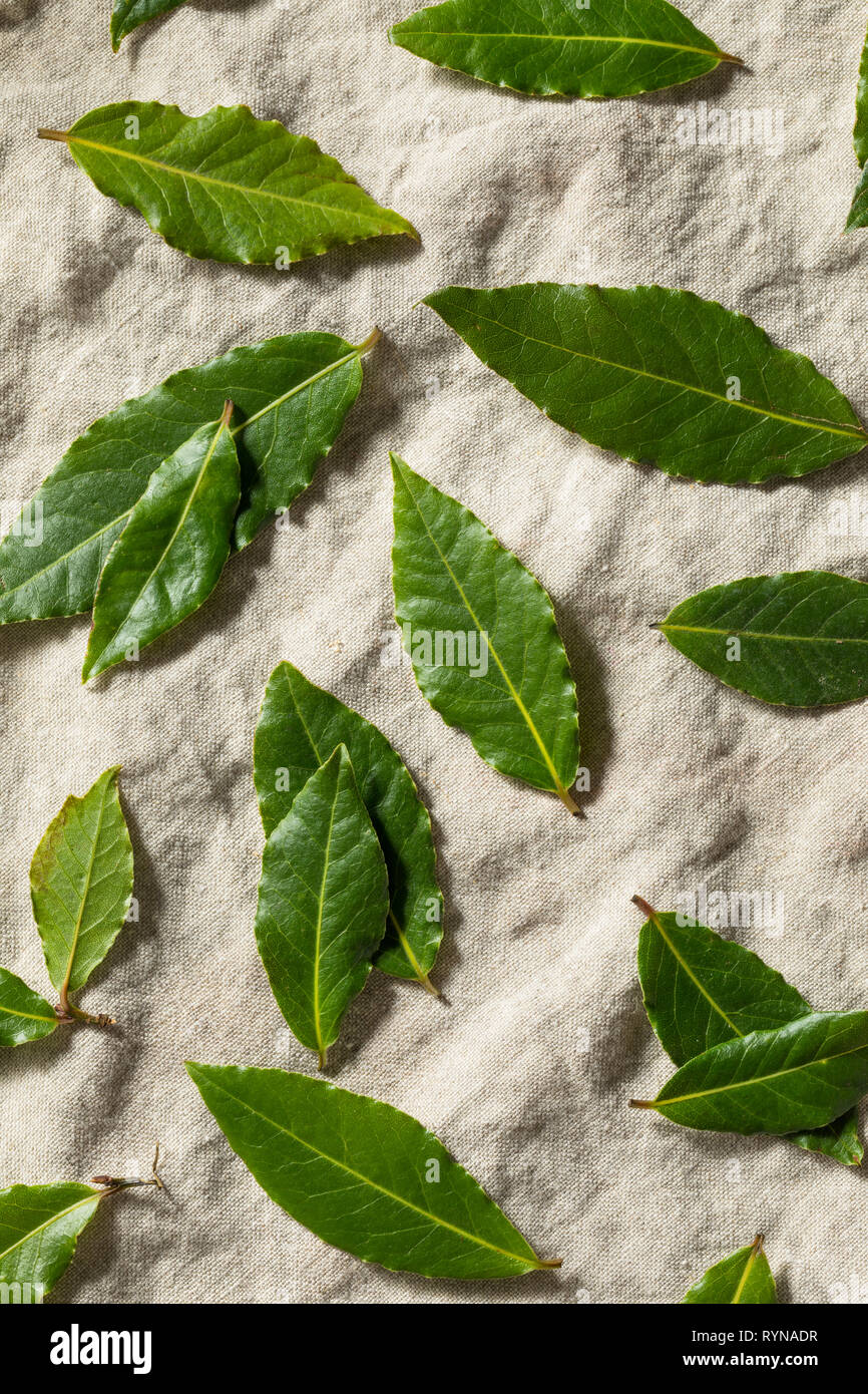 Raw Green Organic Bay Leaves Ready to Cook With Stock Photo - Alamy