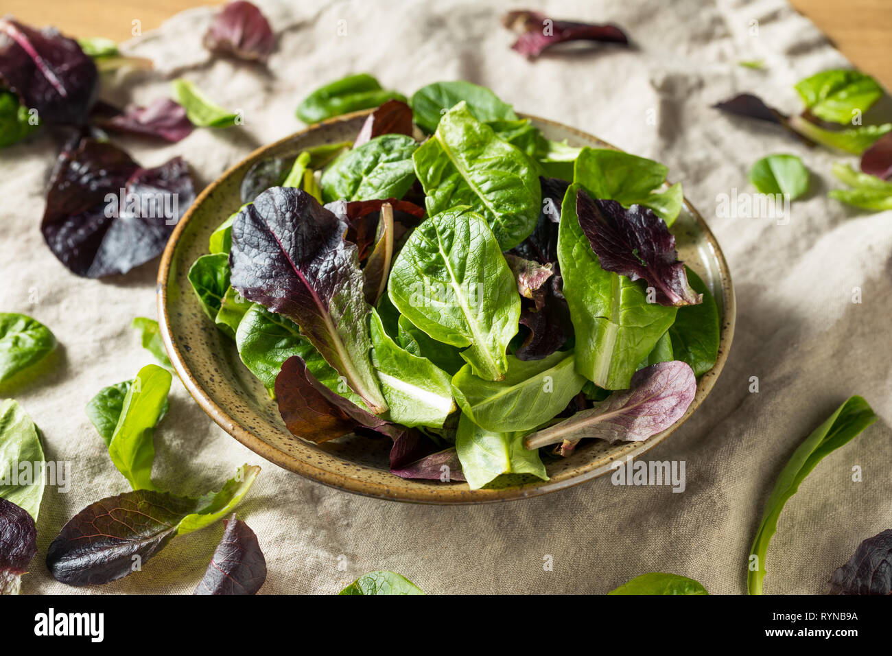 Baby romaine hi-res stock photography and images - Alamy