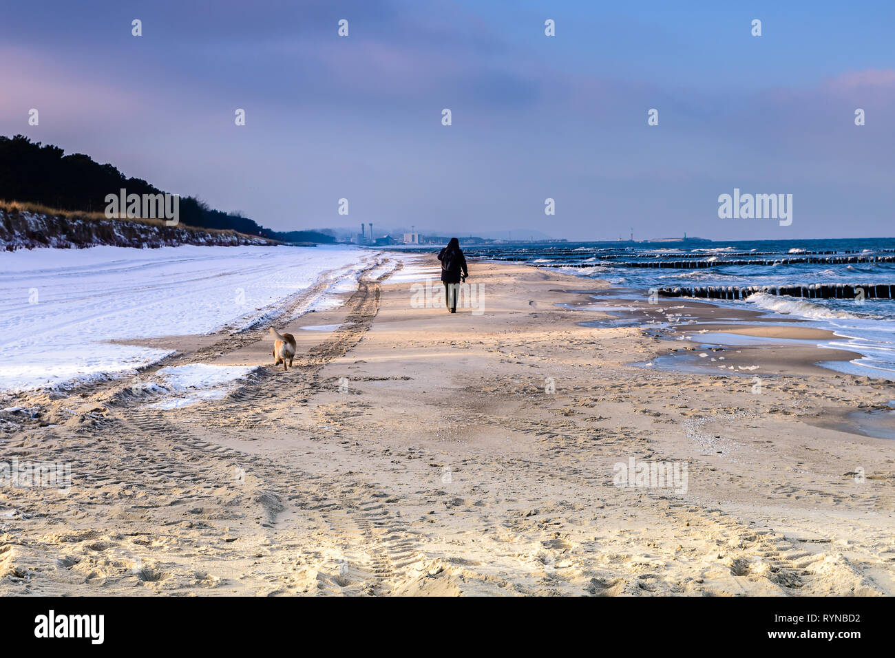 Hel Peninsula (Poland) in wintertime. Sundy beach in dusk with a man ...