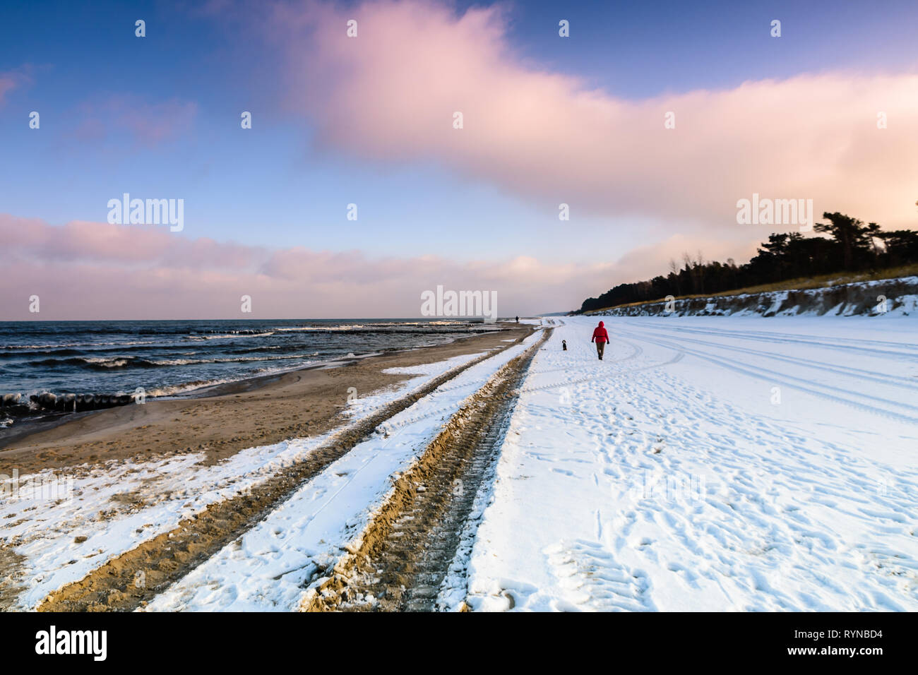 Hel Peninsula (Poland) in wintertime. Sundy beach in dusk with a man ...
