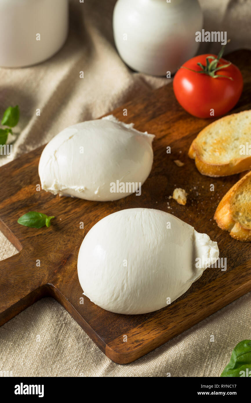 Homemade White Italian Burrata Cheese with Tomato and Basil Stock Photo ...