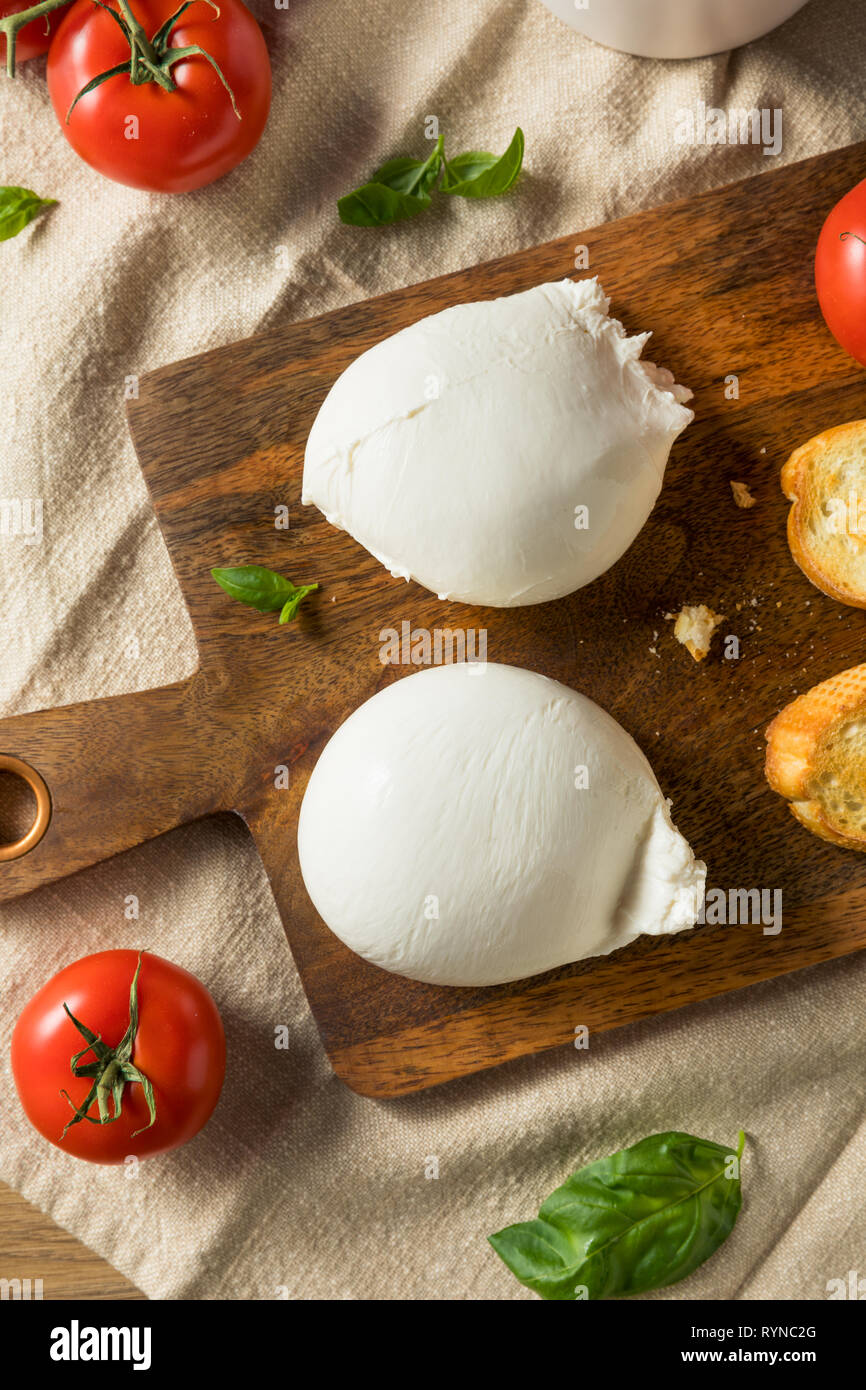 Homemade White Italian Burrata Cheese with Tomato and Basil Stock Photo ...