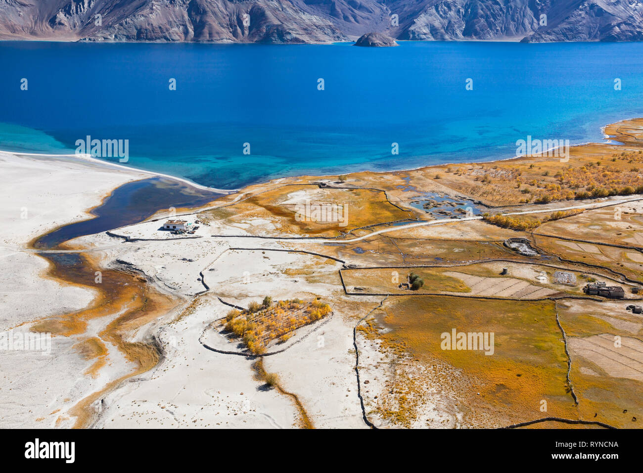 Beautiful autumnal scenery of Pangong Tso and its surroundings in the ...