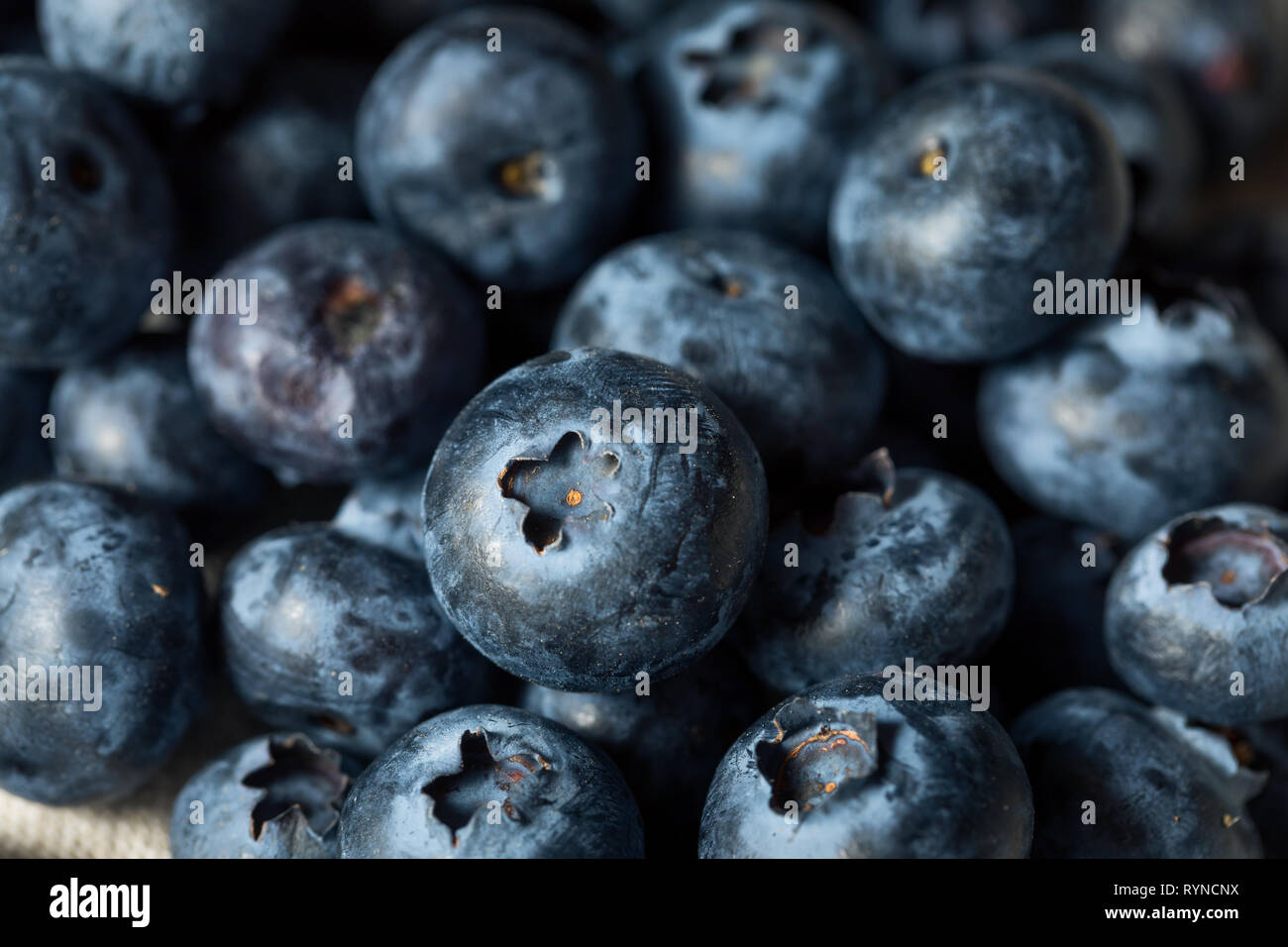 Raw Blue Organic Blueberries Ready to Eat Stock Photo - Alamy